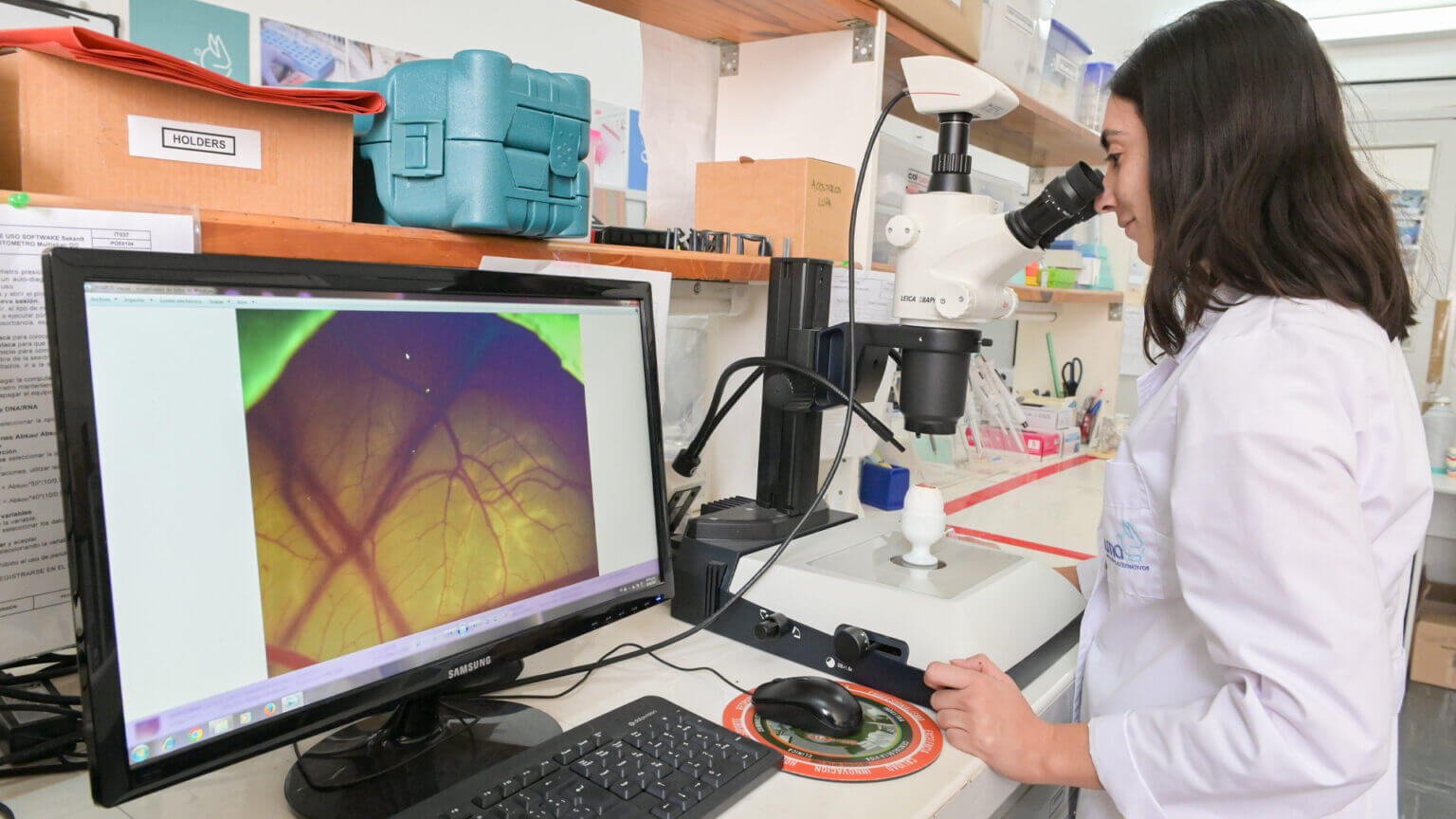 Testeo animal: ¿por qué los laboratorios siguen usando? - DefOnline