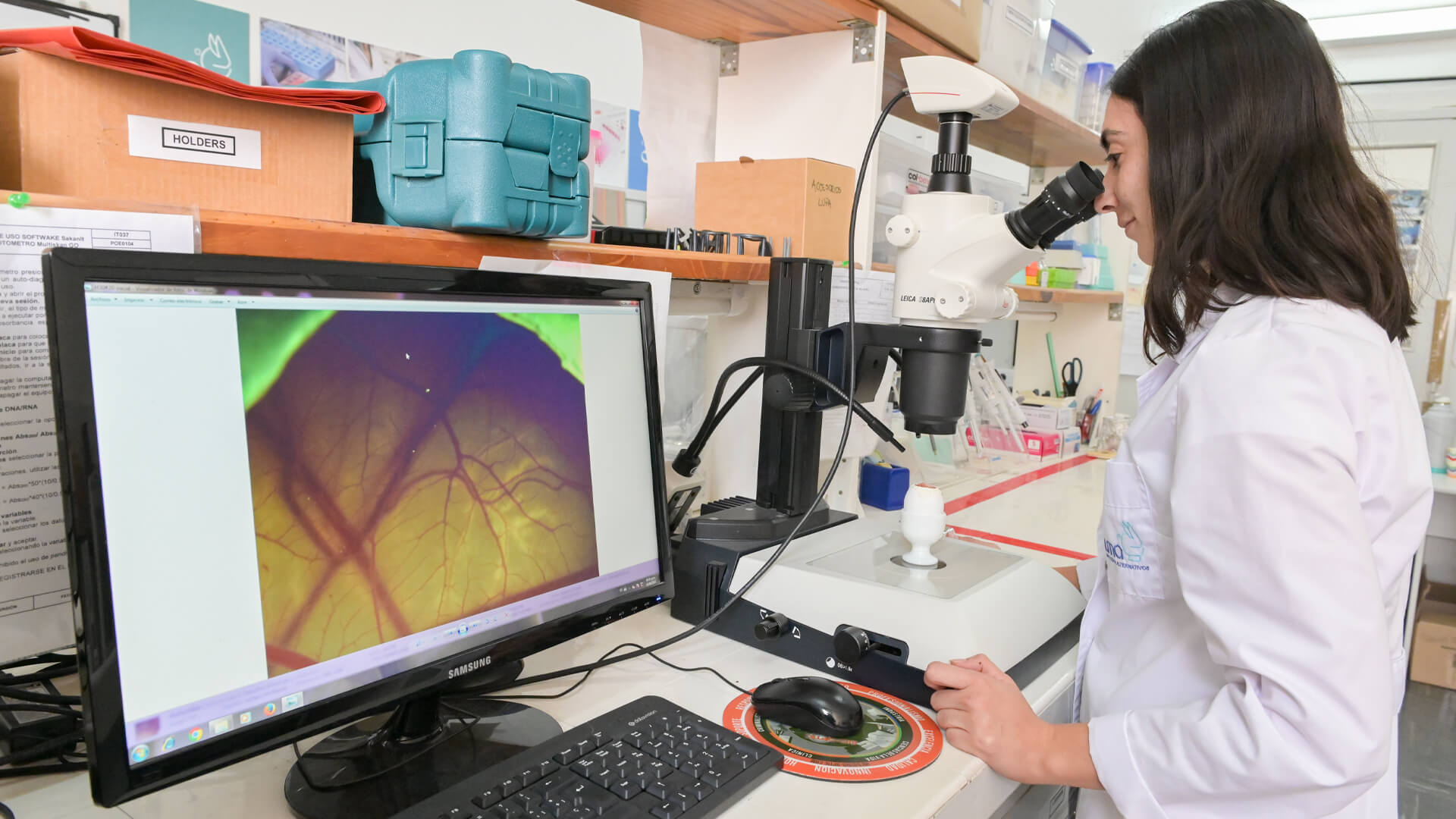 Testeo animal: ¿por qué los laboratorios siguen usando? - DefOnline