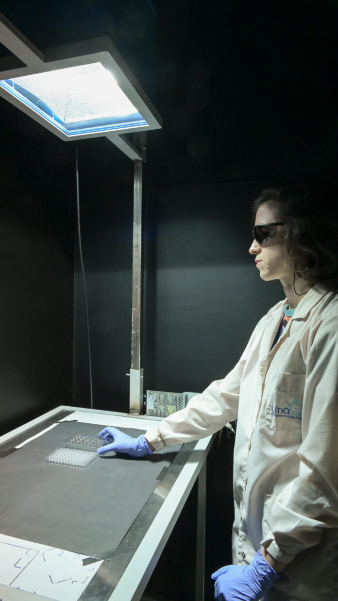 Testeo animal: ¿por qué los laboratorios siguen usando? - DefOnline